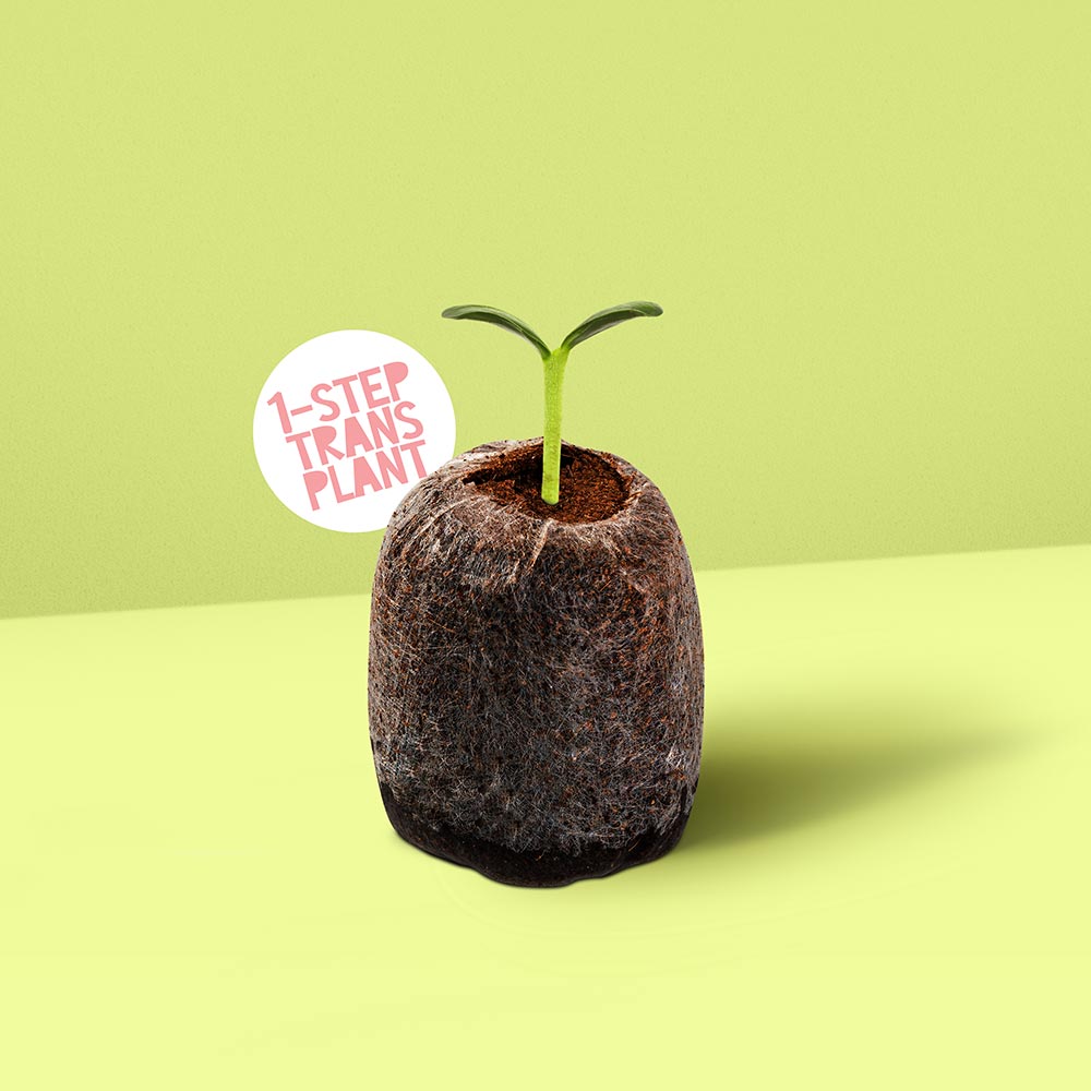 Grow Pellets - Botanian